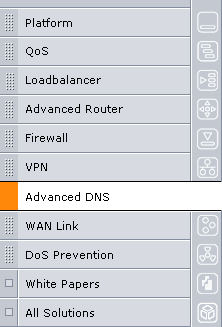 SysMaster - Solutions - DNS